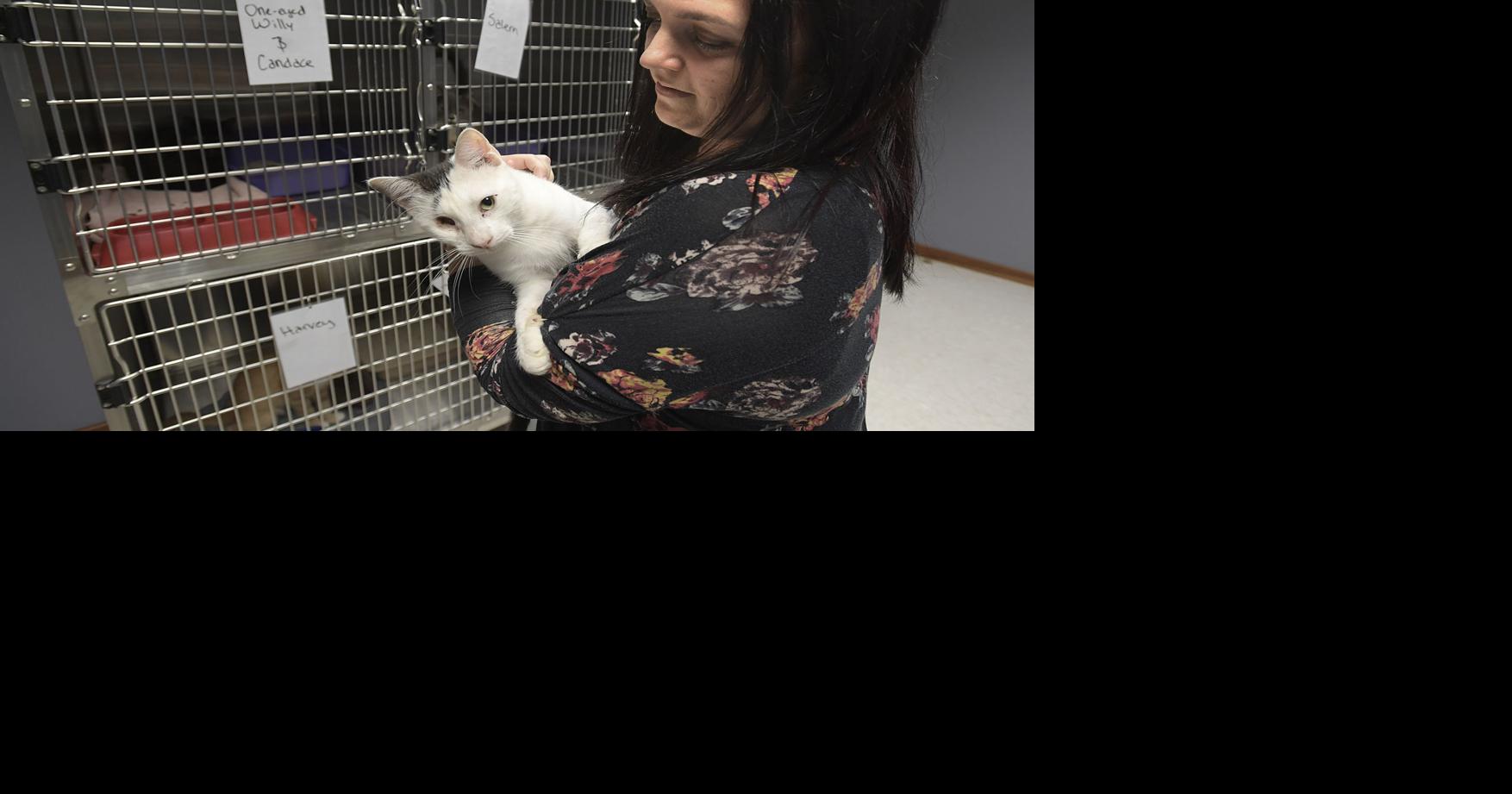 SafeHaven shelters 34 neglected cats