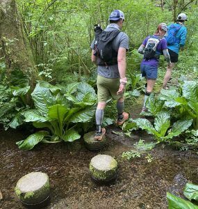 Photos: The Corvallis-to-the-Sea Trail, have you done the C2C?