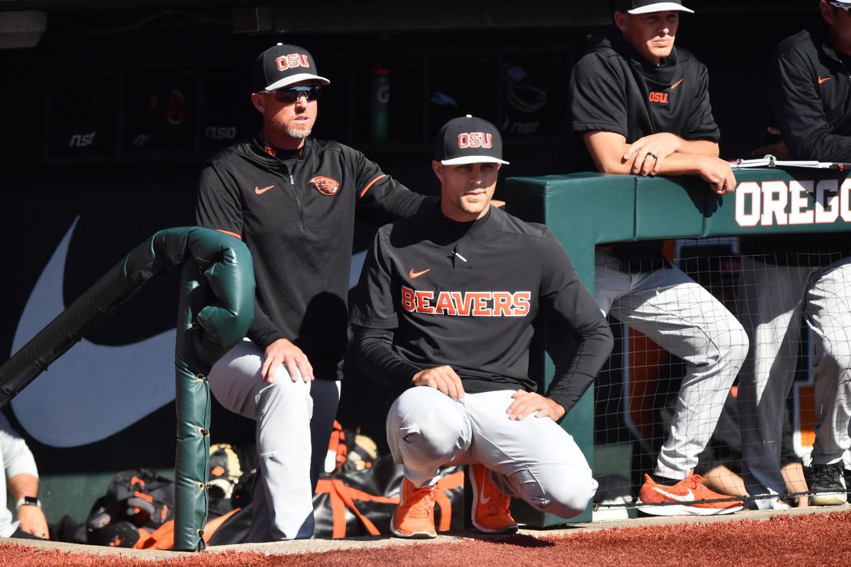 OSU baseball: Canham having smooth transition as new coach | Baseball ...