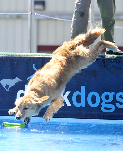 Dock dogs get chance to show off | Local | gazettetimes.com
