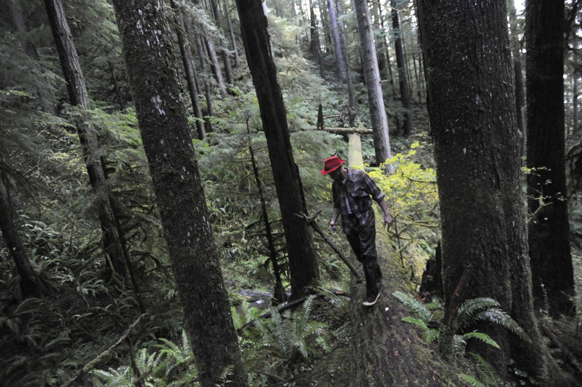 OSU approach to Elliott State Forest draws support