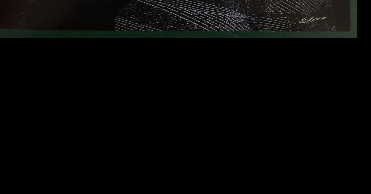 Christine Cookie Driscoll | Election | gettysburgtimes.com