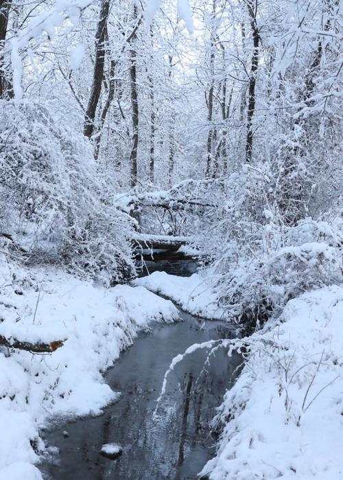snow stream | Local News | gettysburgtimes.com