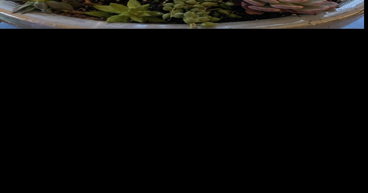A succulent garden brightens a home | Home Style | gettysburgtimes.com