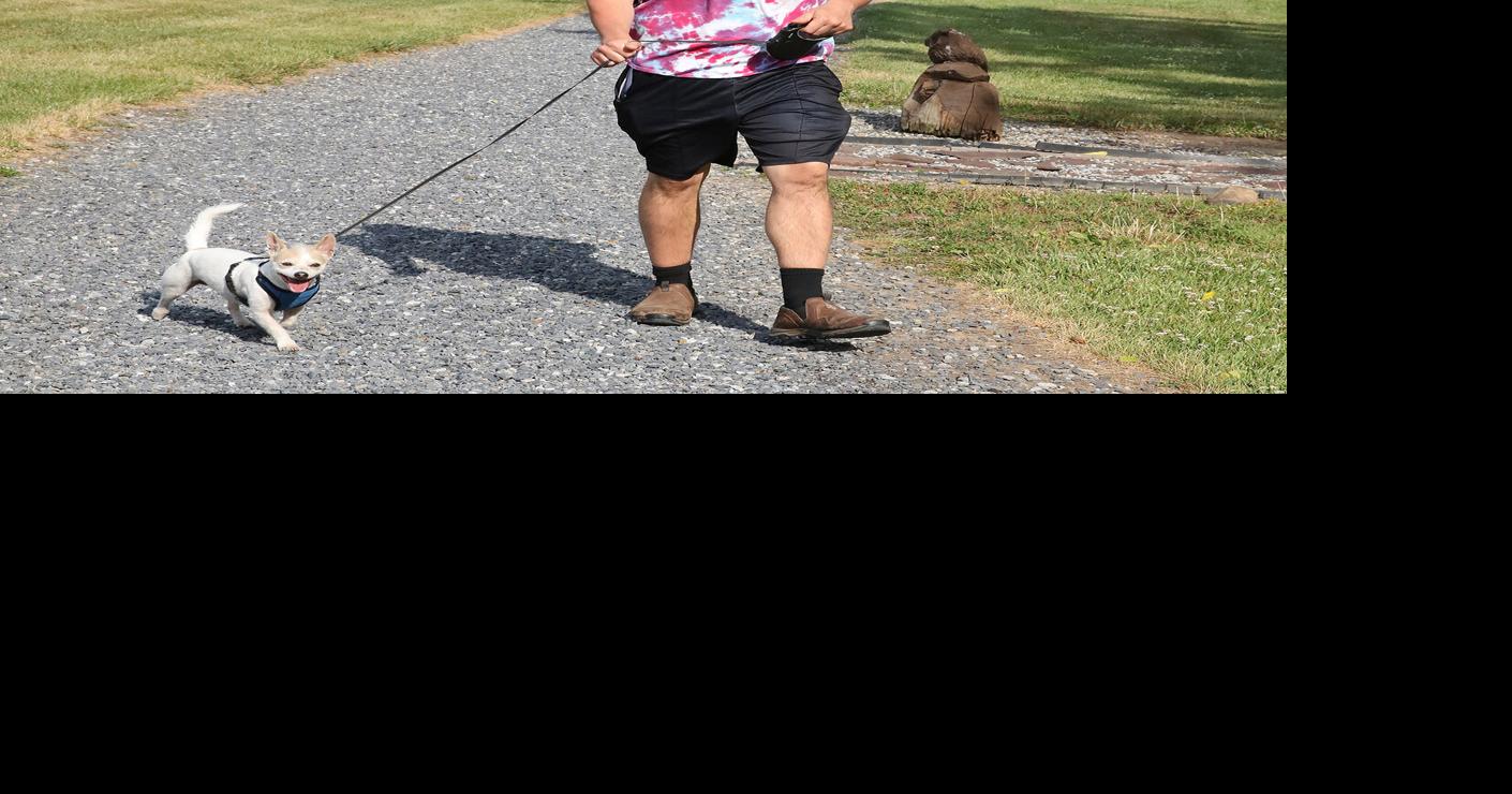 Walking at Oakside Park | Local News | gettysburgtimes.com