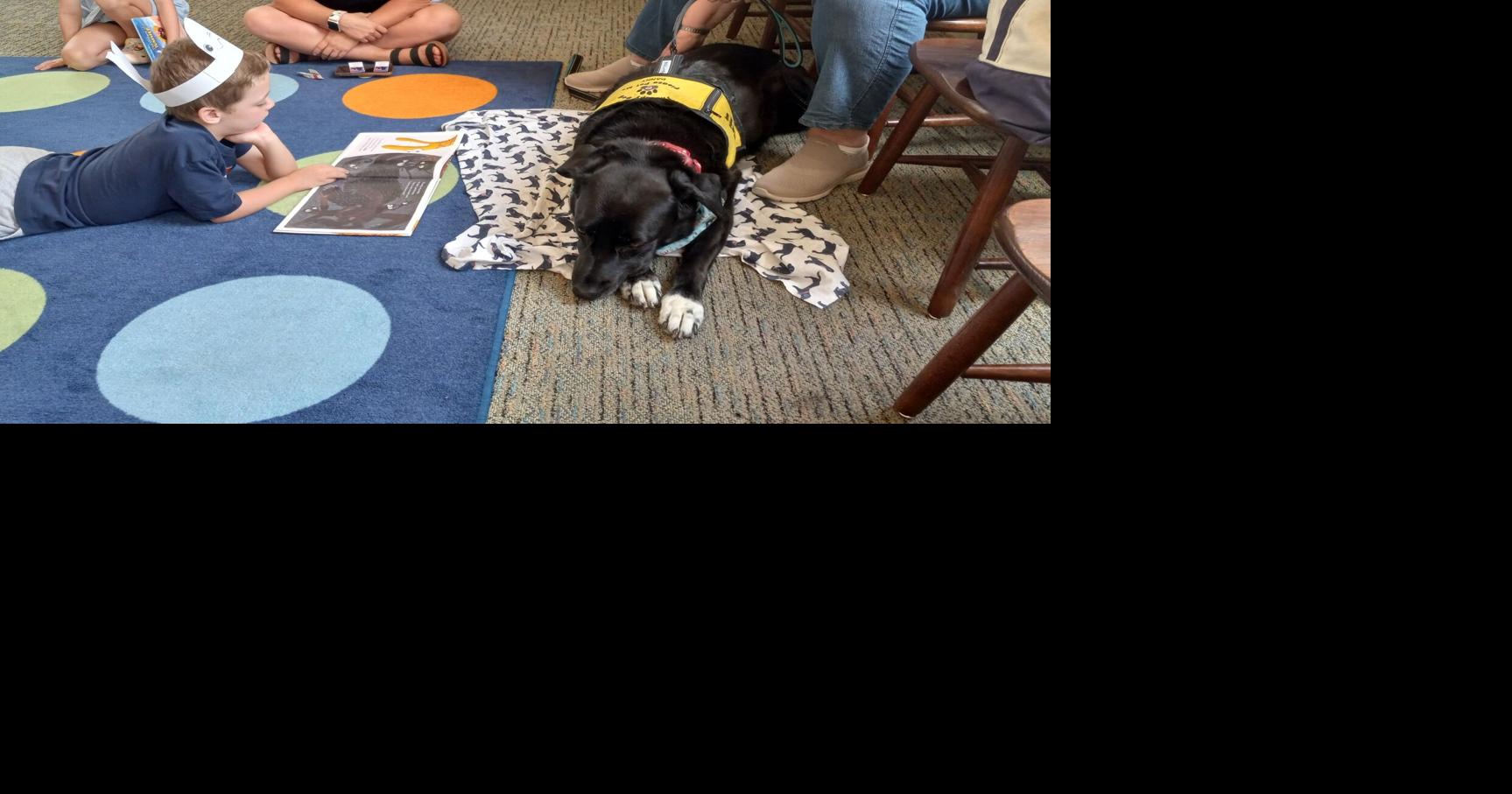 Children read to dog at library | Local News | gettysburgtimes.com