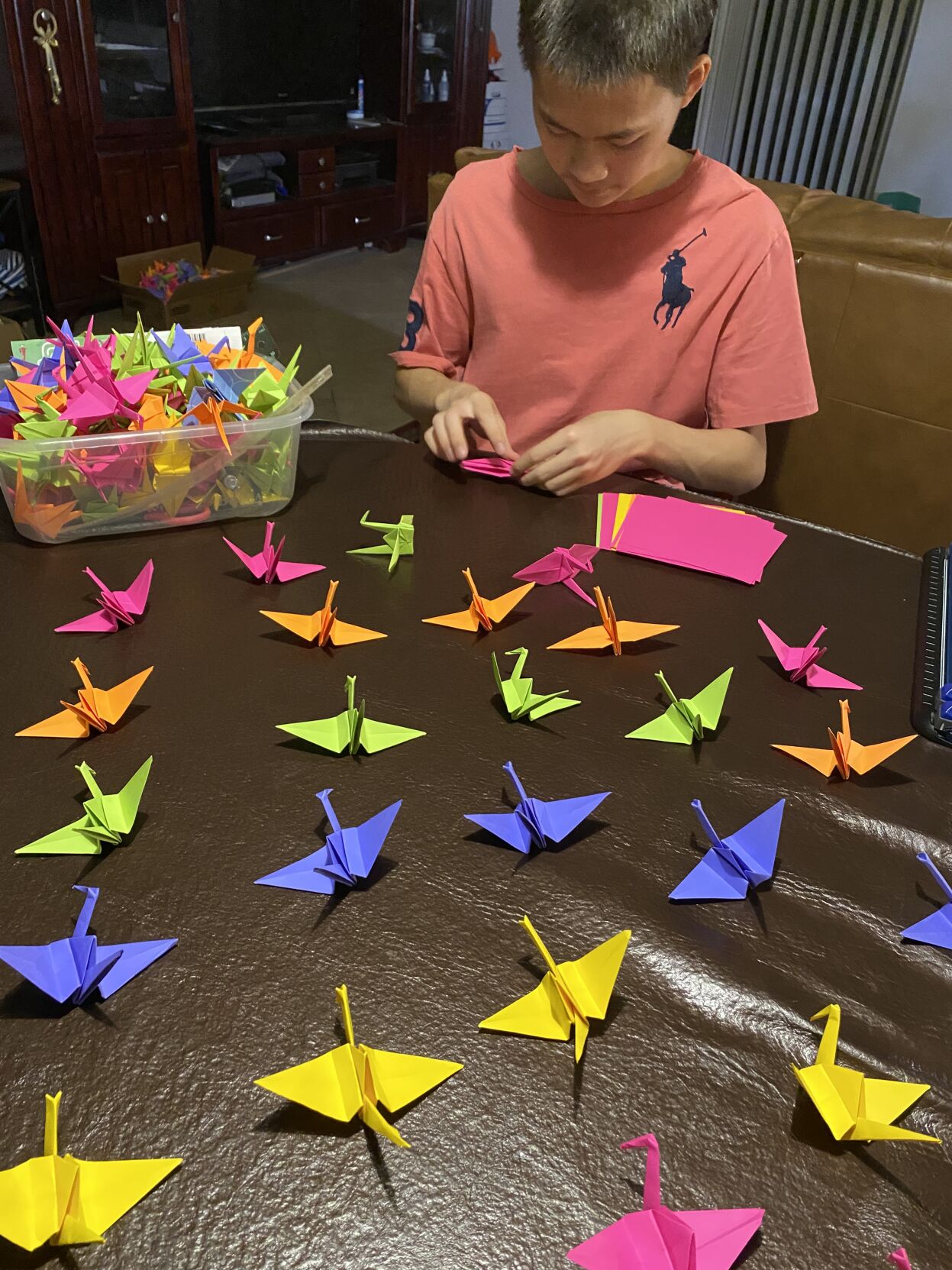Gilbert teen’s origami project wins award | Community | gilbertsunnews.com
