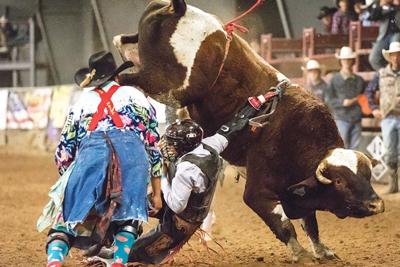 Gilbert celebrates past, future next weekend | News | gilbertsunnews.com