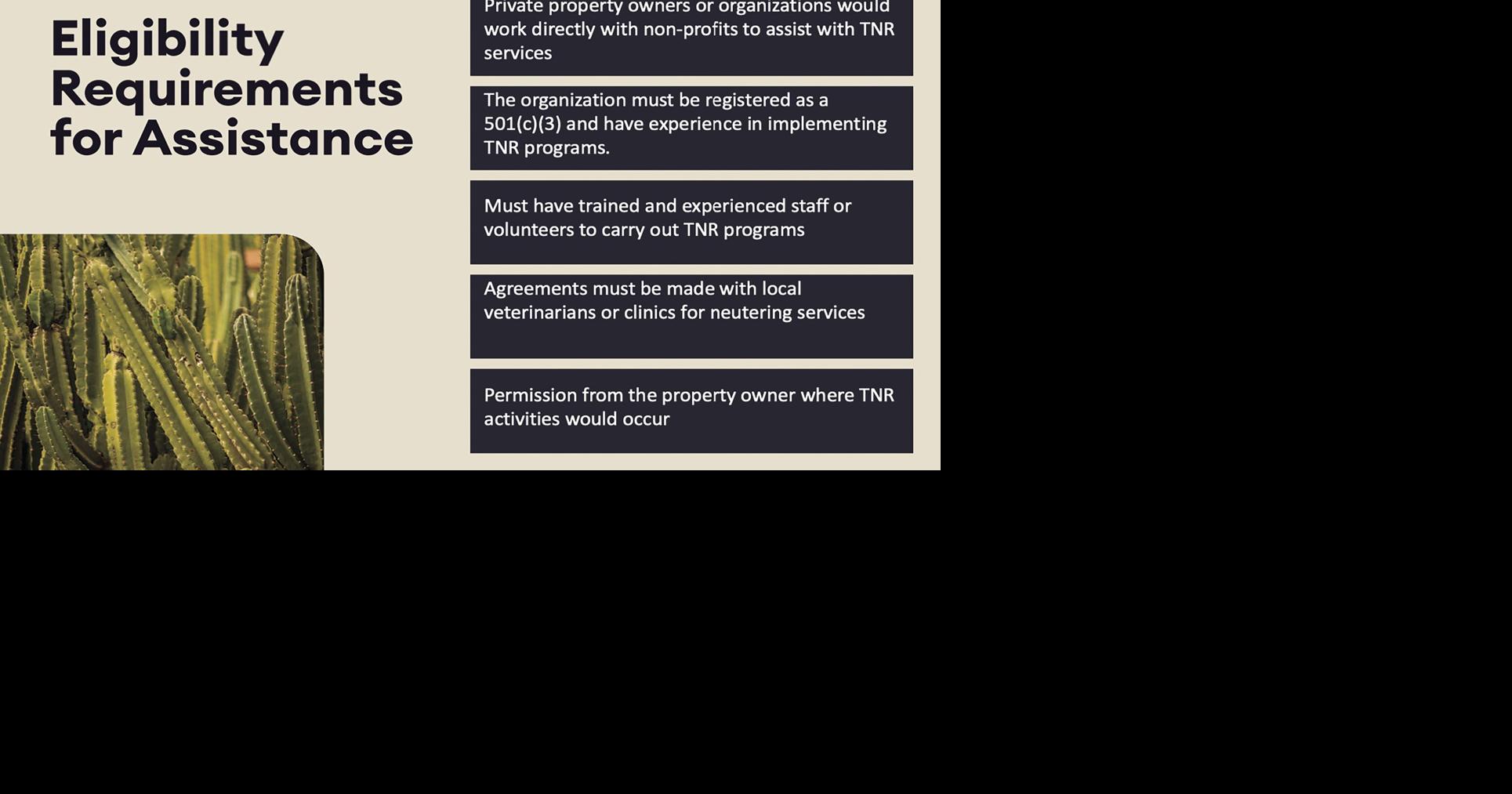 Gilbert launches pilot feral cat program | News | gilbertsunnews.com