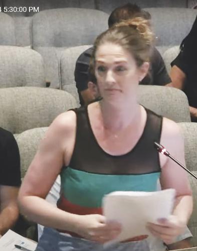 Panel OKs Dick's House of Sports plan | News | gilbertsunnews.com