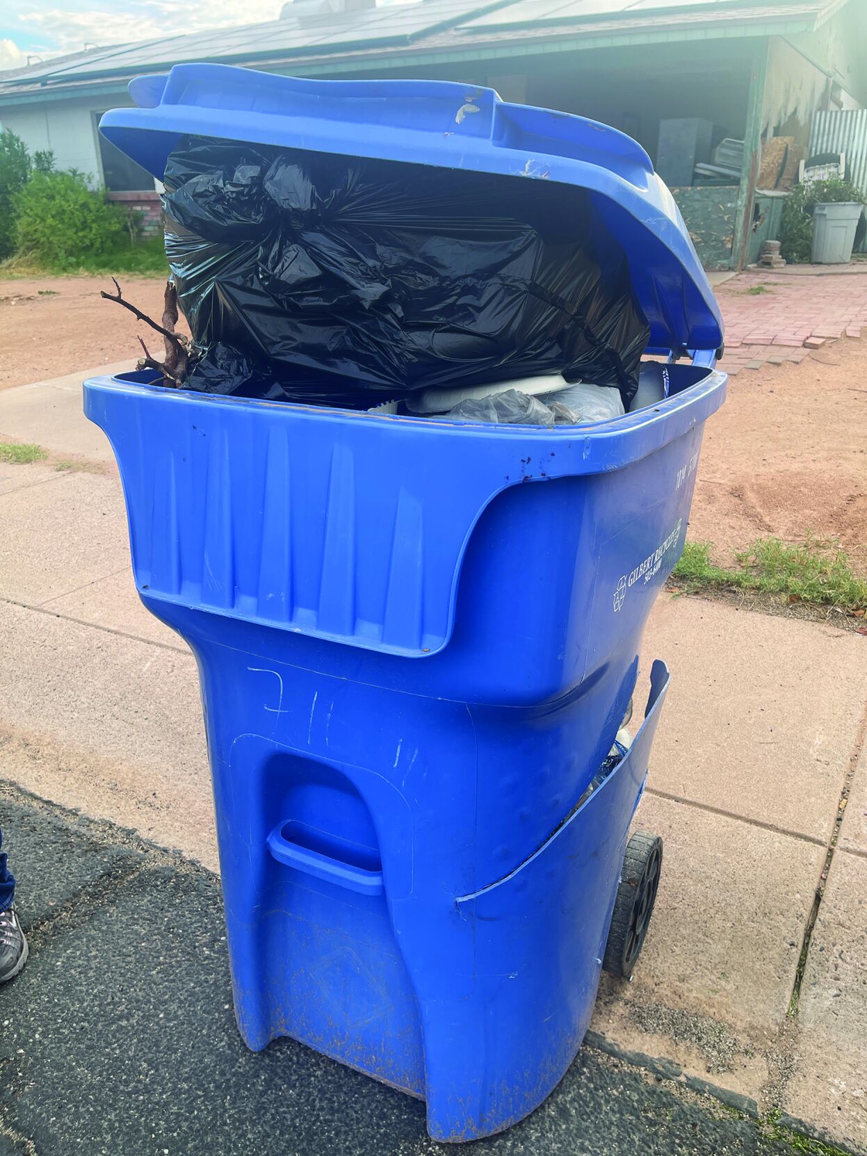 For Gilbert trash inspectors, educating is key | News | gilbertsunnews.com