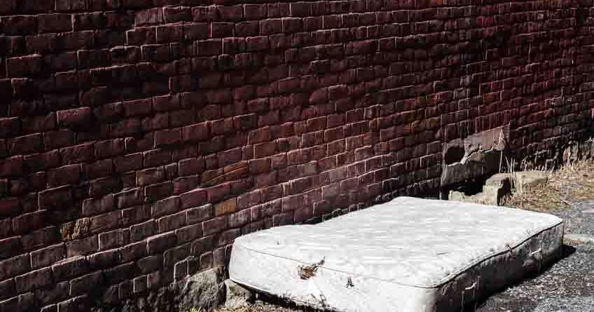 Pandemic forces homeless street count suspension | News ...