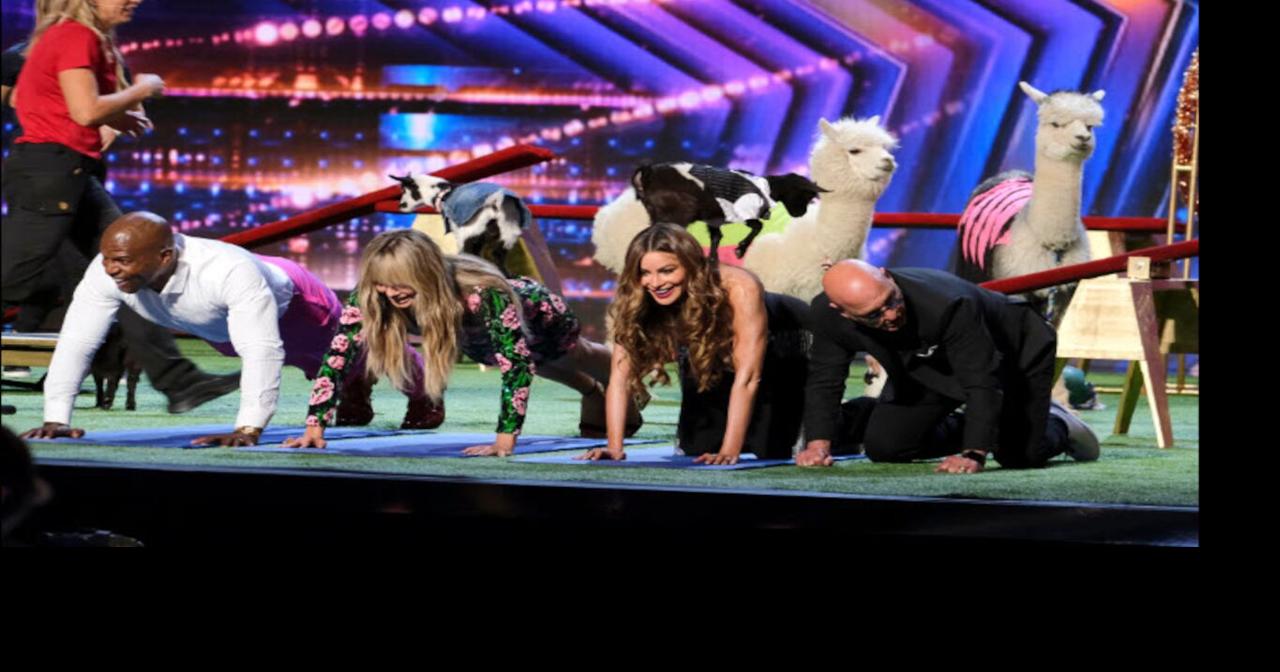 Gilbert’s yoga goats get big national TV spotlight | Getout ...