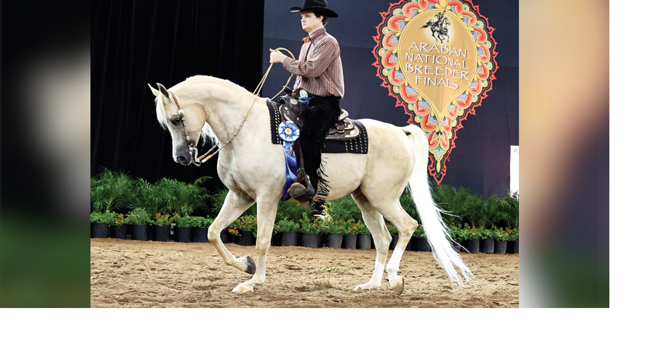 Arabian breeders show set at WestWorld | Getout | gilbertsunnews.com