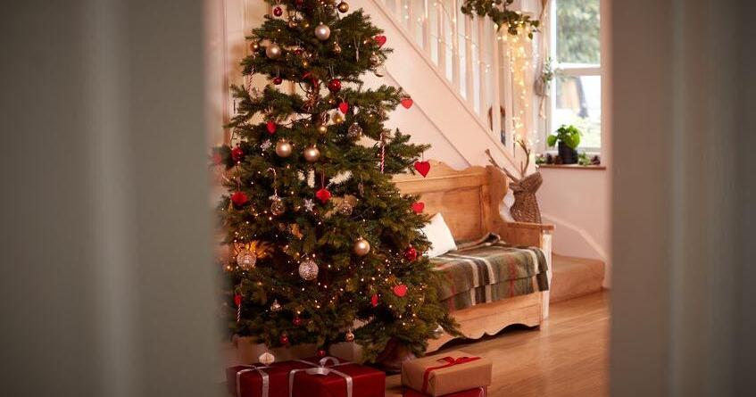 Have yourself a very ‘Mary Christmas’ this year | Religion ...