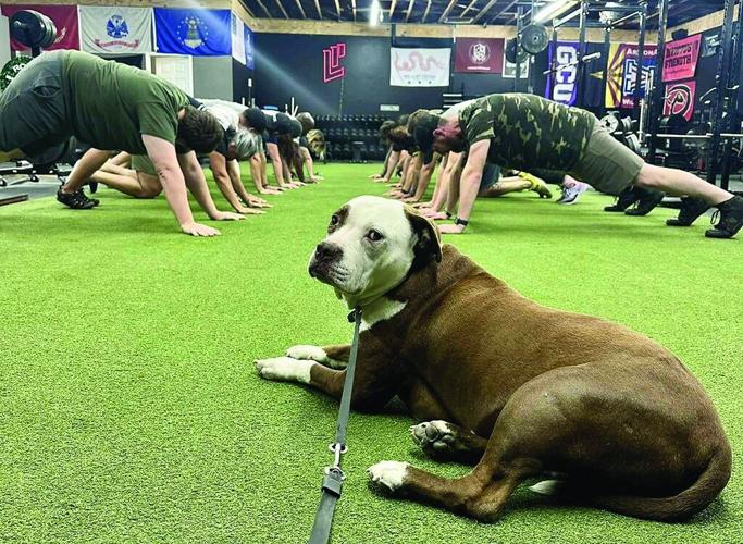 MVP helps veterans, retired athletes bond through | News | glendalestar.com