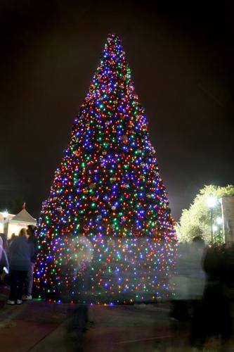 Glendale Glitters lights up Nov. 25 | News | glendalestar.com