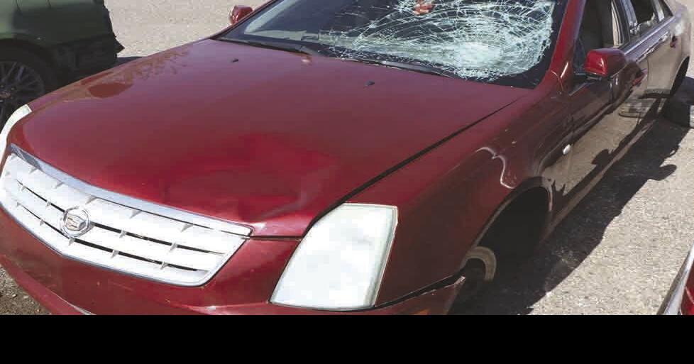 Glendale Police Seek Help In Fatal Hit And Run News