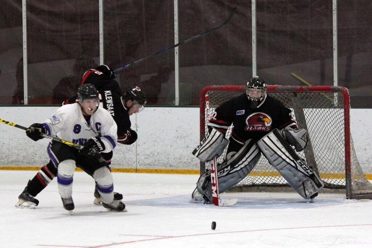 Hawks drop two to Knights | Sports | glendalestar.com