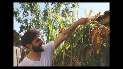 Glendale permaculture landscape designer grows produce | Features ...
