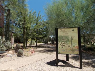 Take a free tour of Glendale’s xeriscape demonstration garden | News ...