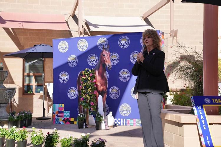 Glendale Elementary School District shows appreciation for business ...