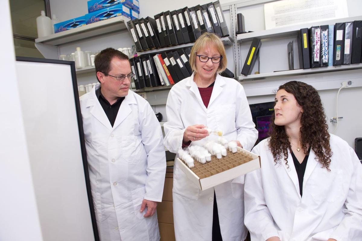 Waldorf University Professor conducts research with University of Iowa