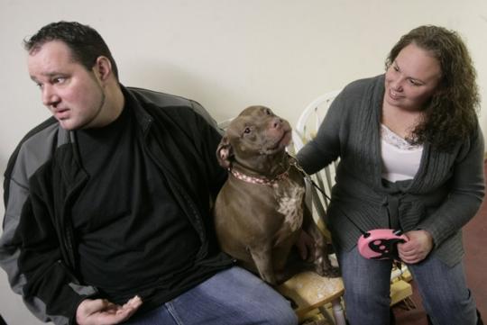 Manly deadline today: Pit bulls banned