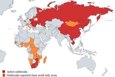African Swine Fever as a global concern
