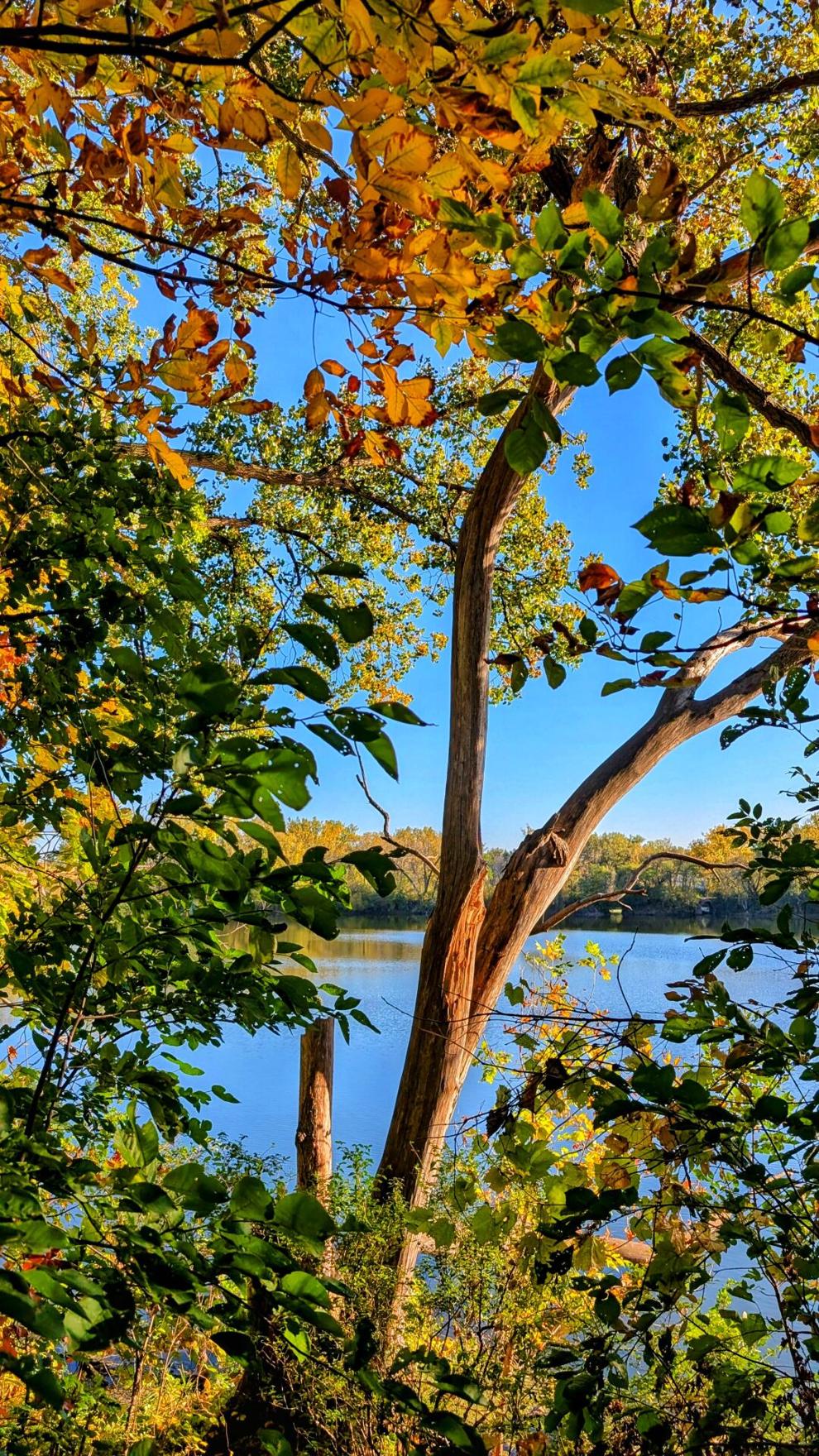 PHOTOS: The best of North Iowa fall colors