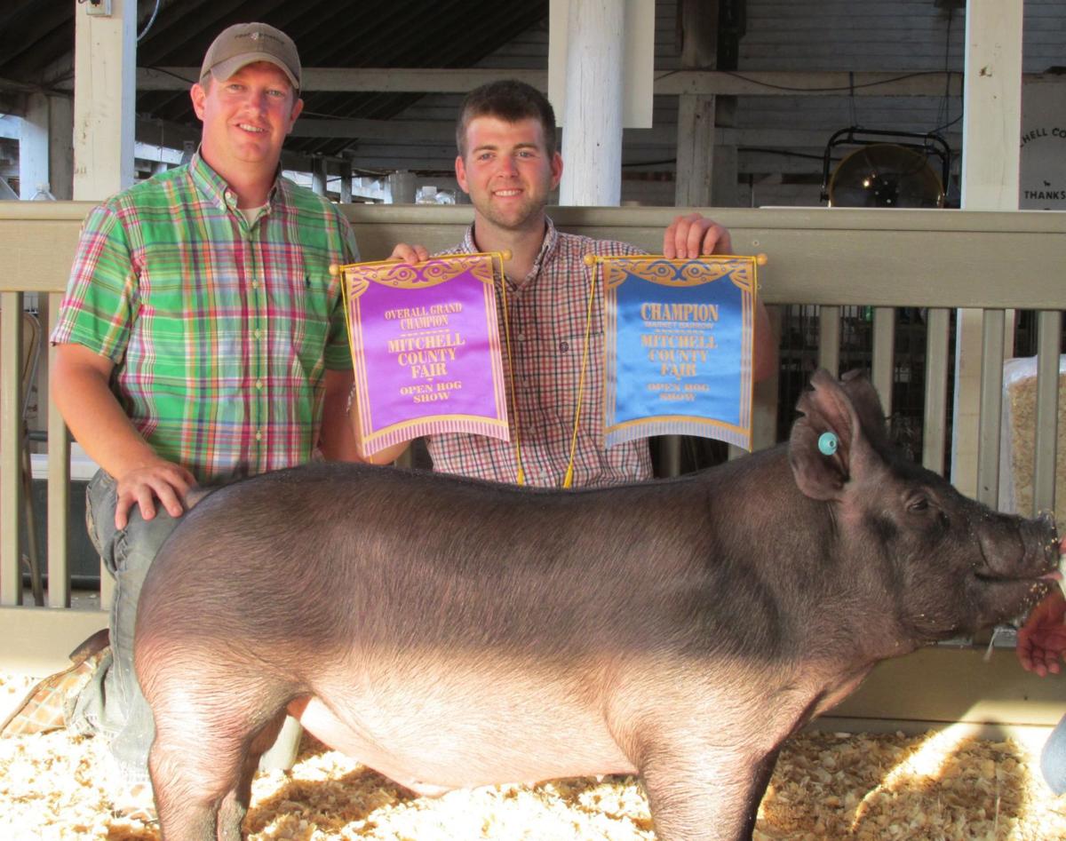 Fifty-nine entries in Open Class Hog Show | Mitchell County News ...