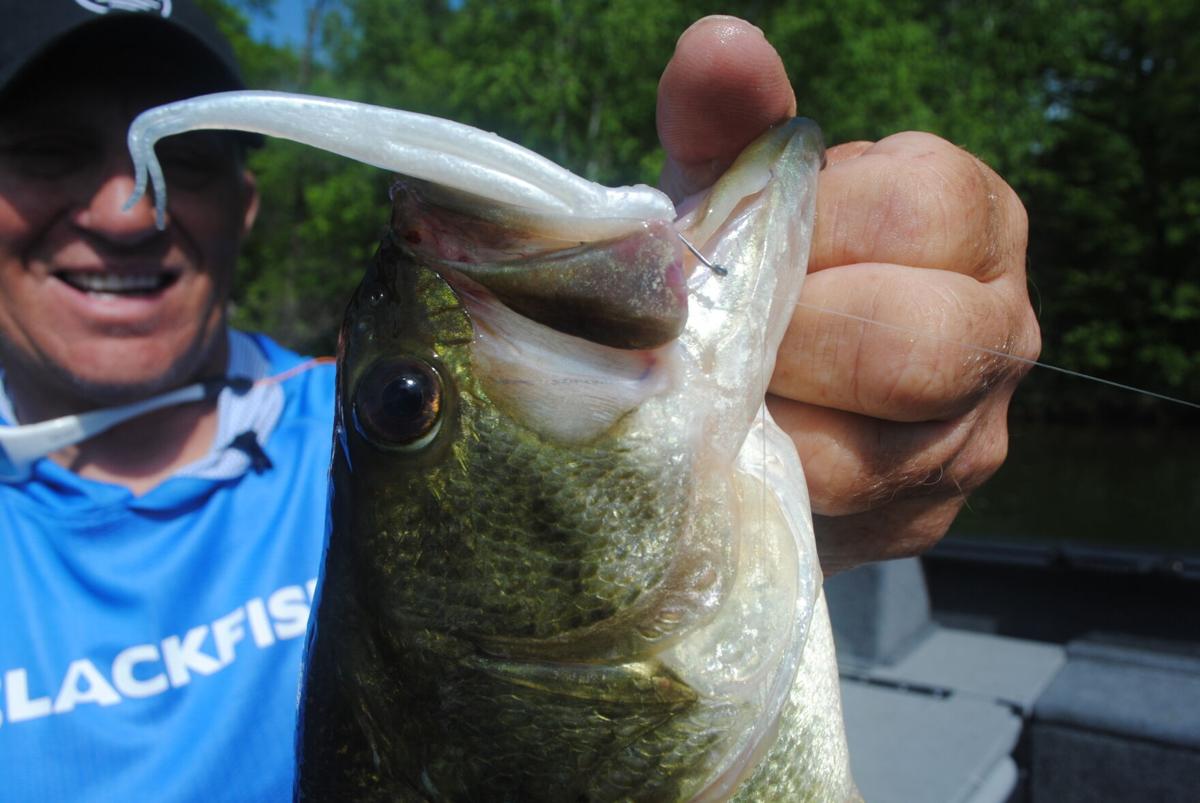 Jensen: Drop-shot rigs for fall fish