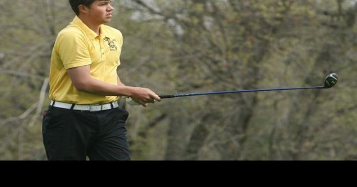 Lions follow NCC title with sectional crown