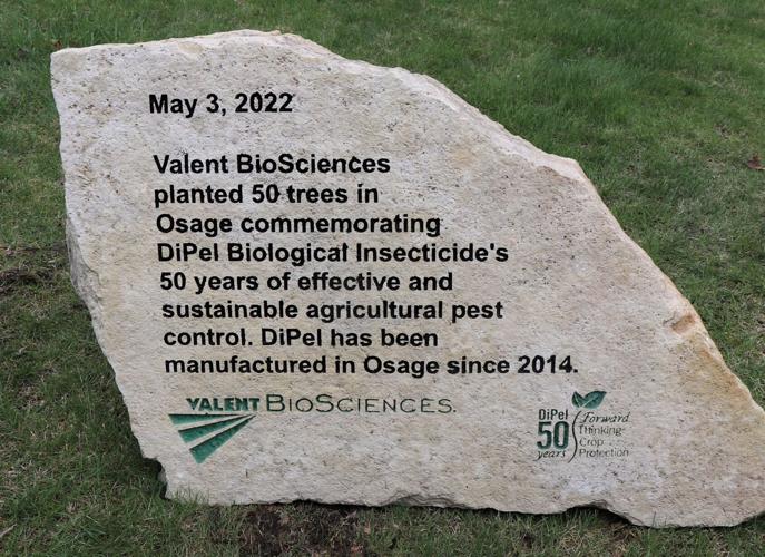 Valent's roots deepen in Mitchell County