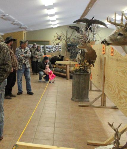 A day for deer and turkey