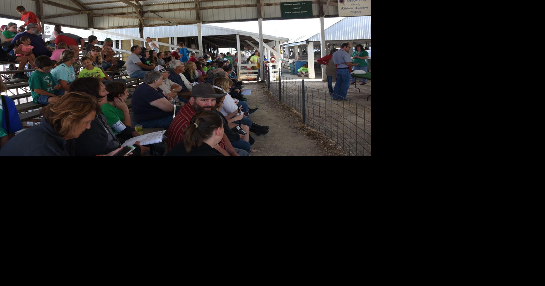 Mitchell County Fair goes virtual; events schedule set