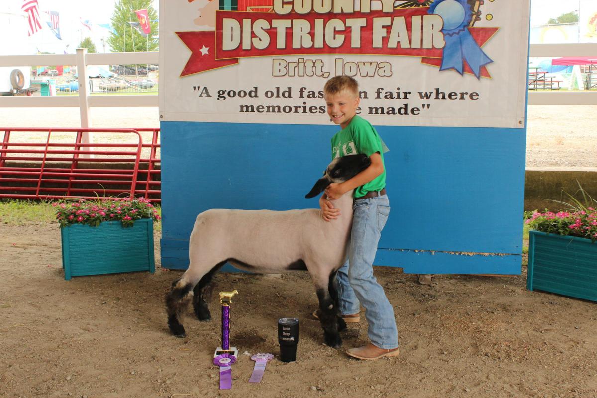 Young exhibitor wins sheep showmanship awards | News | globegazette.com