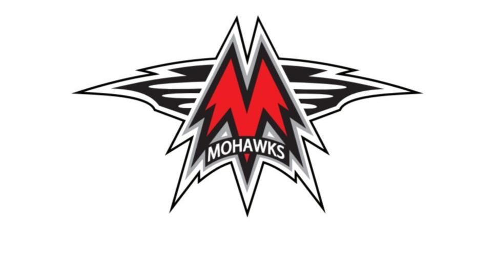Mohawk hockey players earn awards