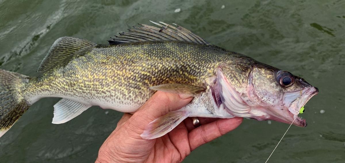 Iowa turkey seasons conclude