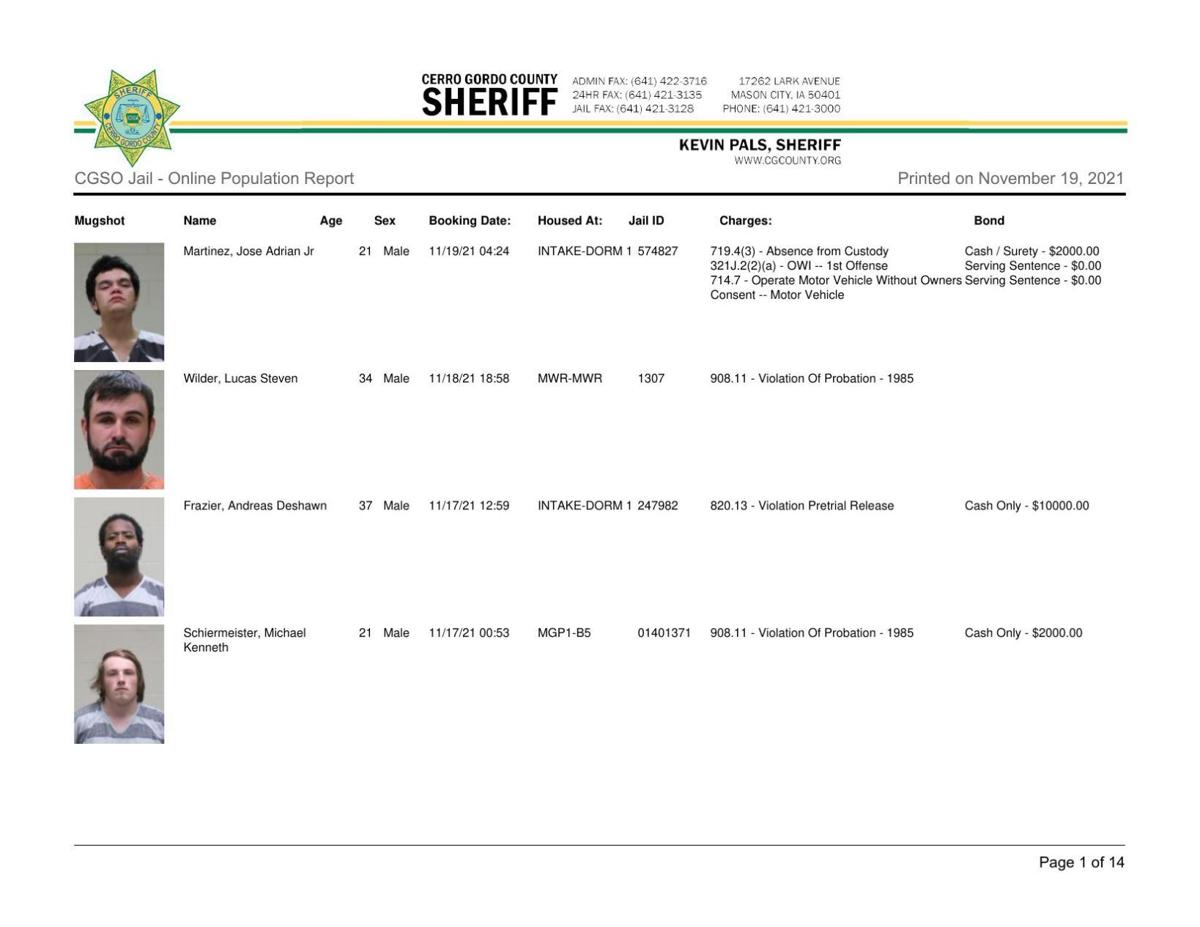Cerro Gordo County Jail log for Nov. 19