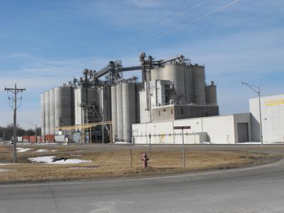 Grain Millers starts apprenticeship program