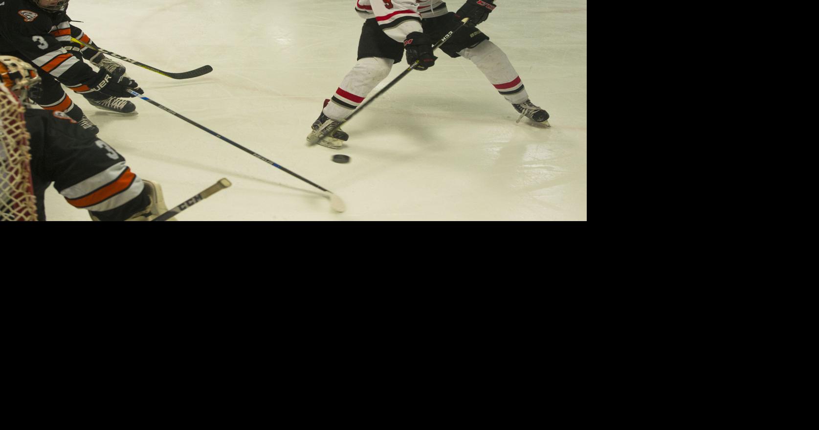 Sports news and notes: Mohawk Hockey Club lands 5 on all-league team