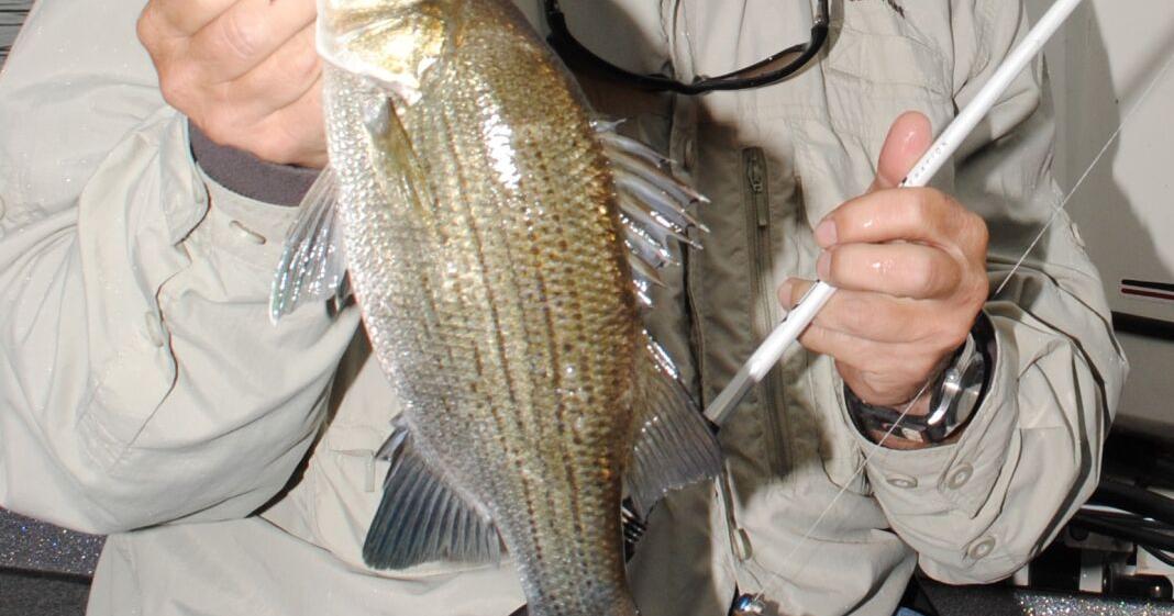 BOB JENSEN: Fish for the biters