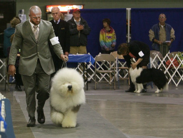 Top dogs come to Mason City for show