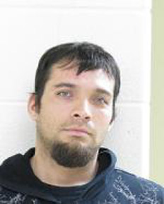 Mason City man pleads guilty in police officer bite incident