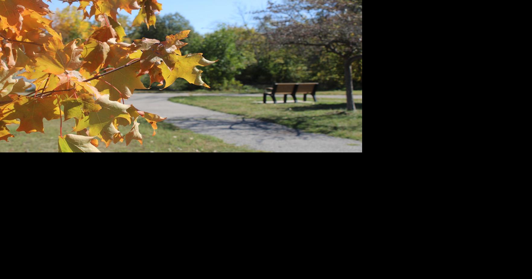 PHOTOS: The best of North Iowa fall colors