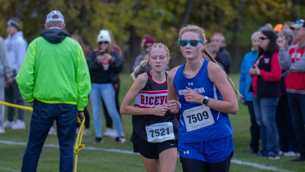 Newman's Weiner surpasses expectations to make state meet