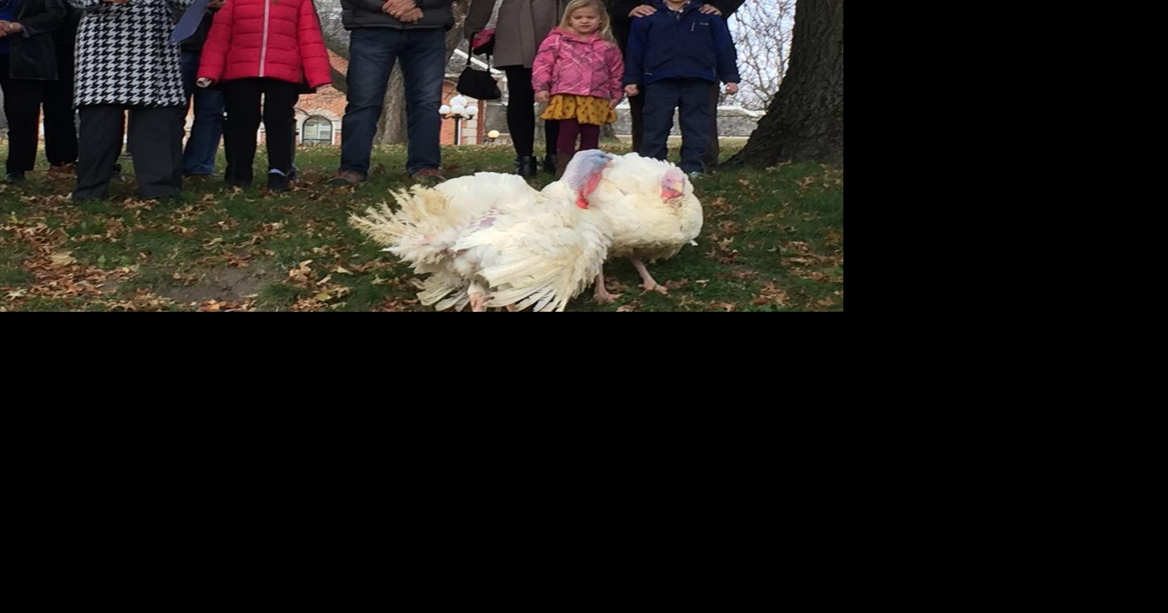 Iowa governor pardons turkeys Spuds, Gravy in Thanksgiving tradition
