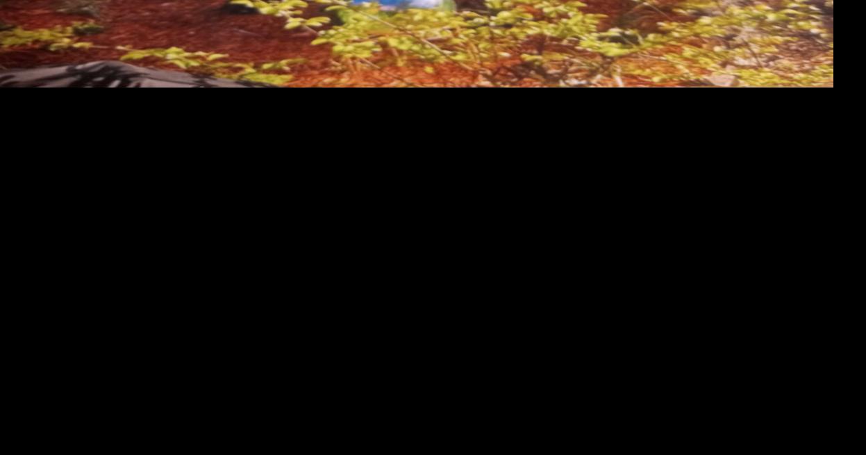 Amanda Blanchard named Noon Rotary Student of the Month