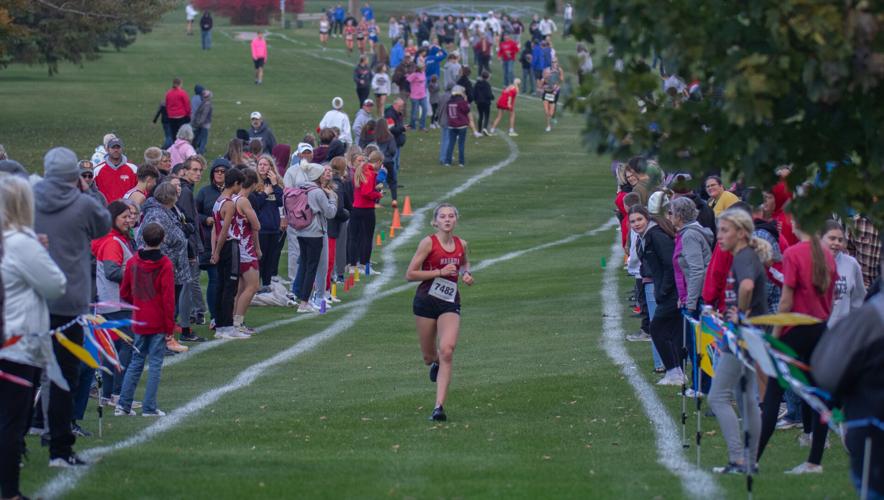 'A dream come true': Lake Mills boys cross country win Class 1A ...
